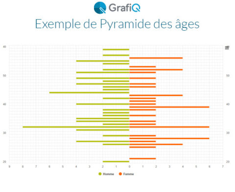 Pyramide des âges en entreprise : définition & exemples des différents ...