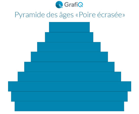 Pyramide des âges en entreprise : définition & exemples des différents ...